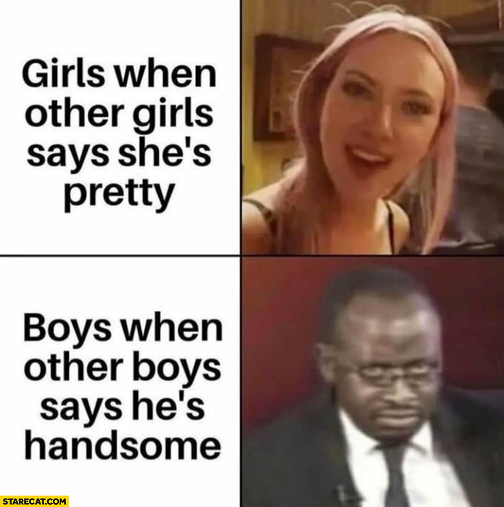 Handsome Memes StareCat Handsome Memes StareCat